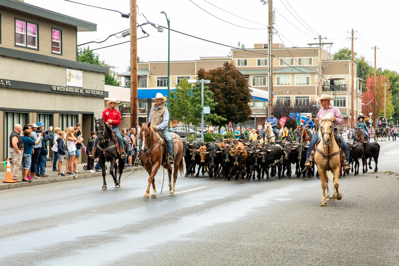 Shoreline Area News: Destinations: Do the Puyallup - rodeo parade