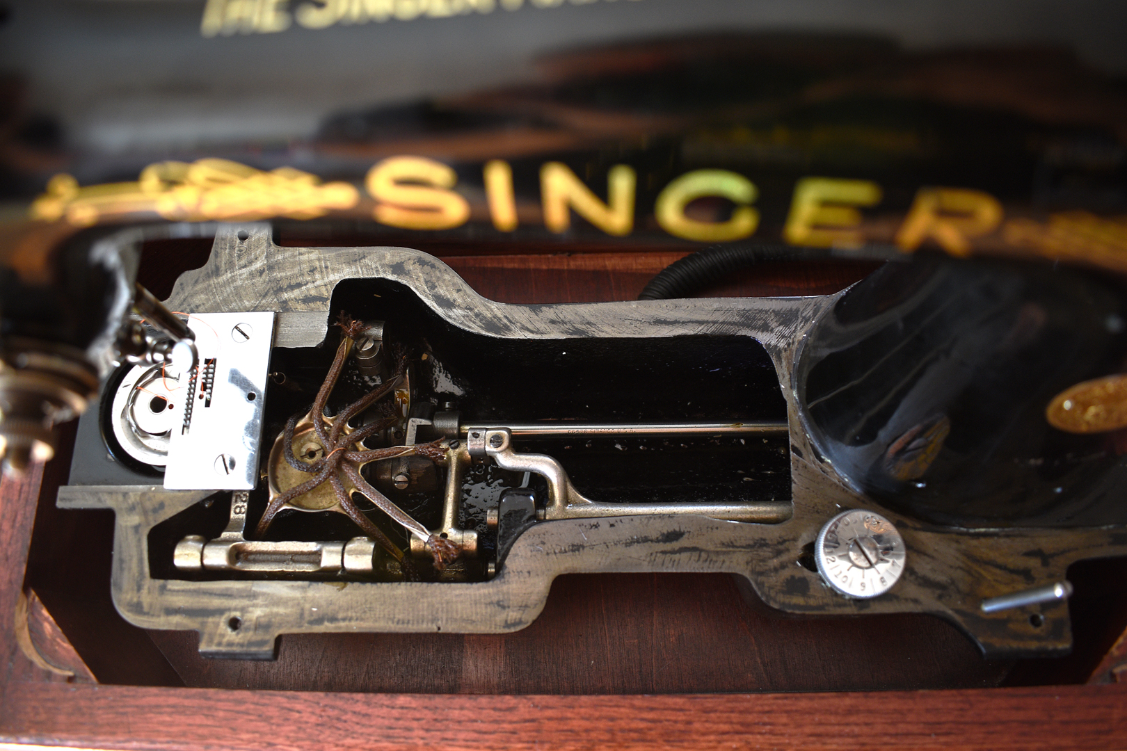 Meet My Singer 101-4