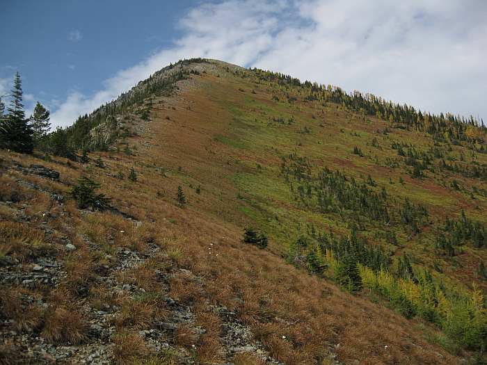 Tall Pines Hiker: Tuchuck Mountain