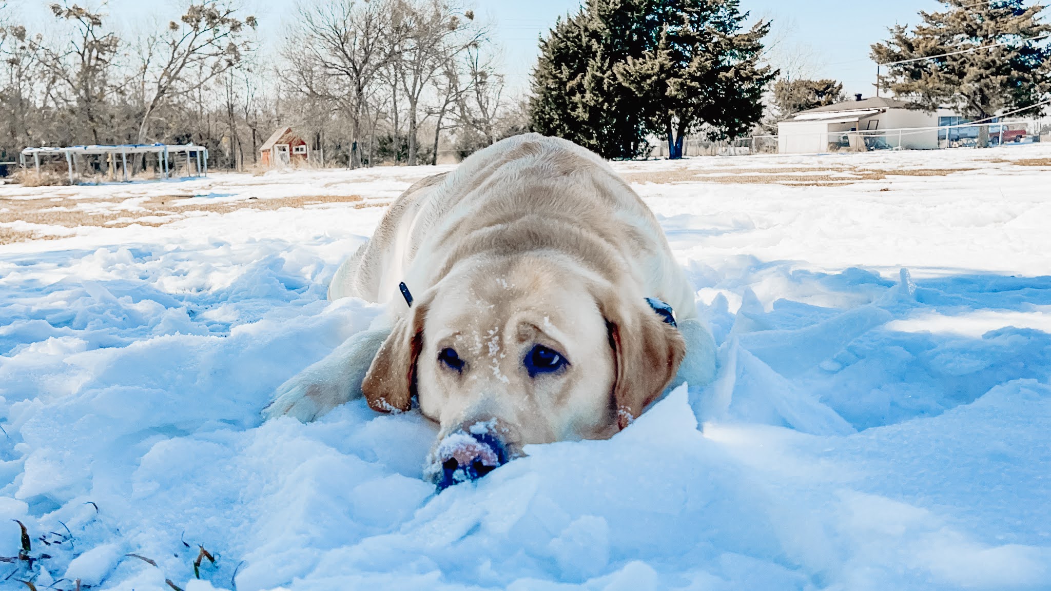 {Texas Snowpocalypse // 2021} - HALL AROUND TEXAS