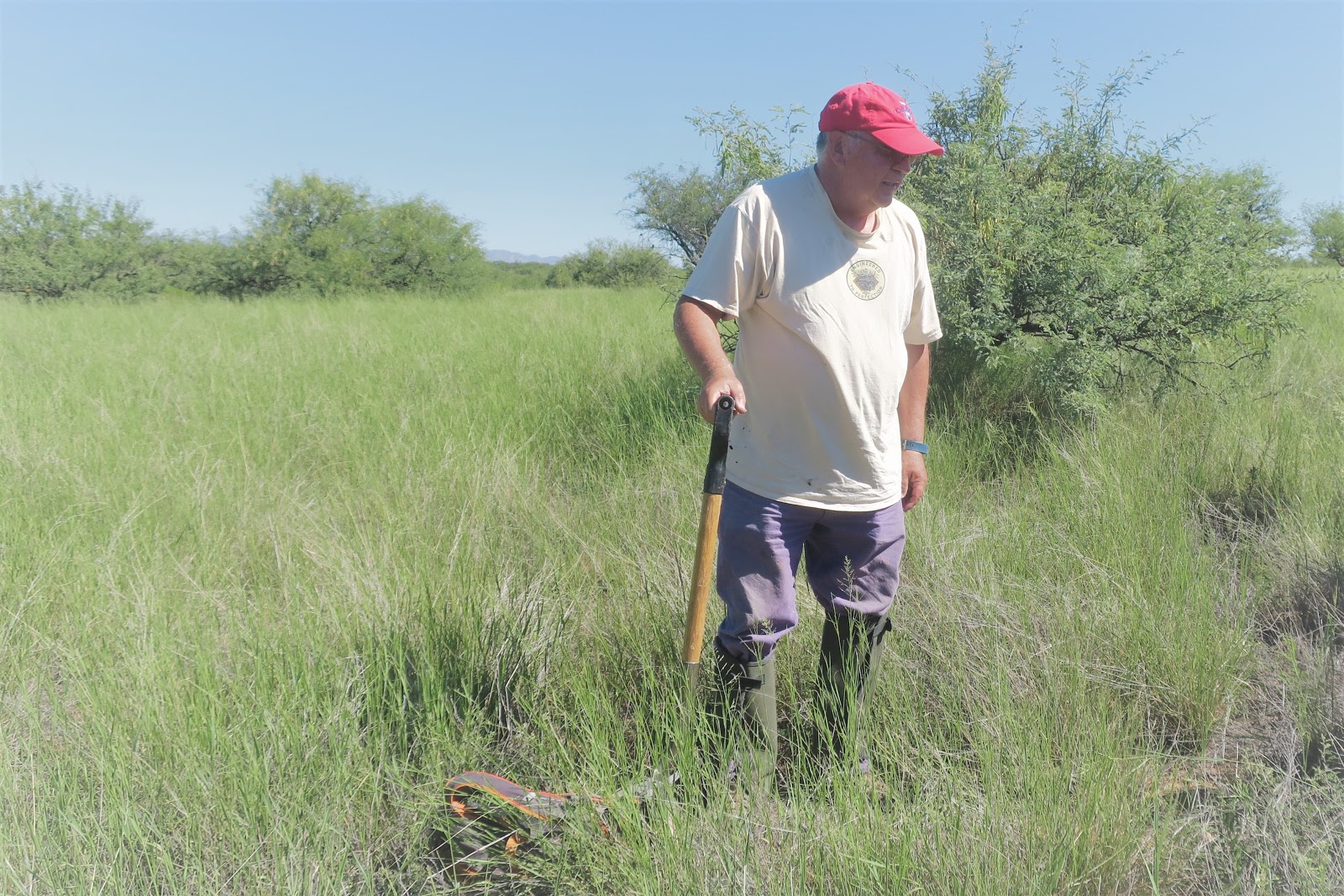 Living Rootless: Tucson, AZ: Samaritans: Artist Alvaro Enciso, the Crosses