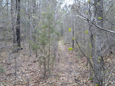 Kansas City Rasta Rider: Issaqueena Forest in pictures and captions.