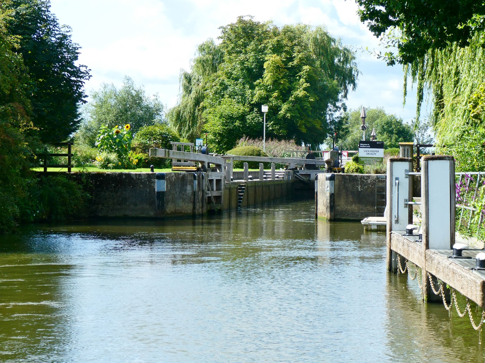 and Millie makes three: Above Rushey Lock (River Thames) – Tuesday 20th ...