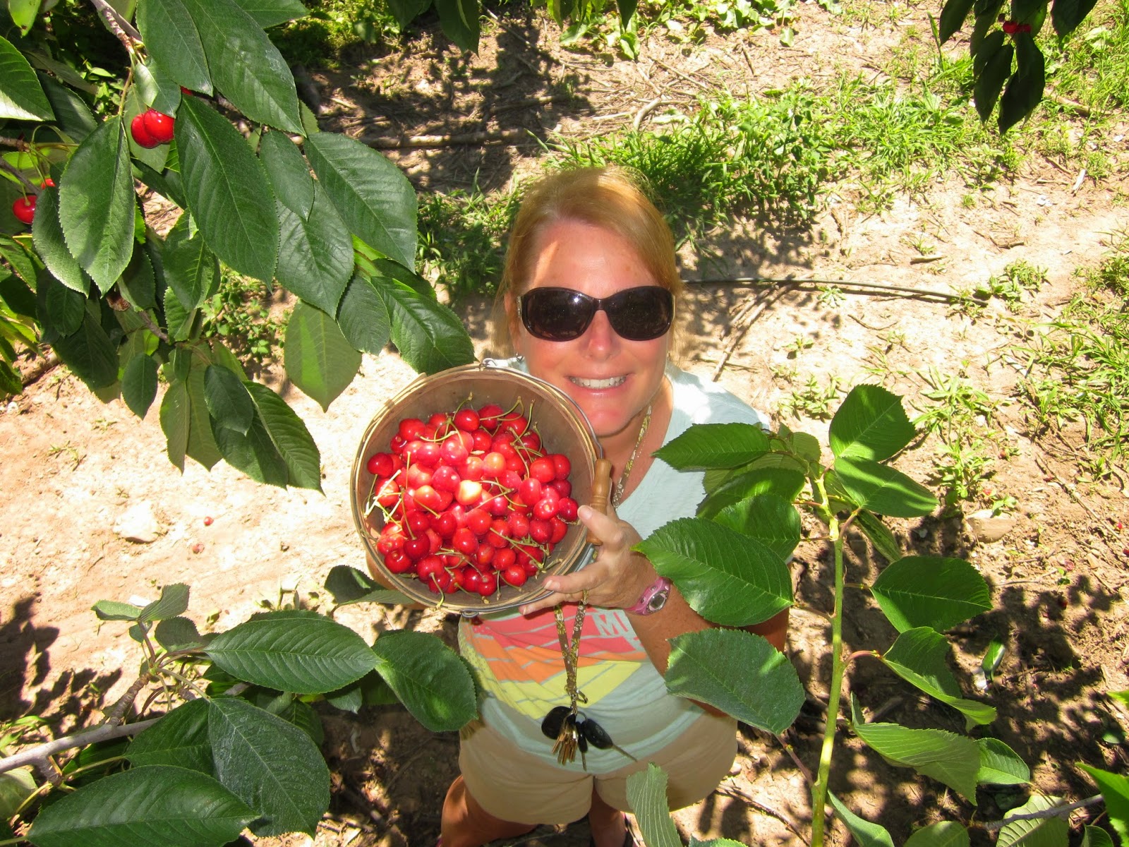 For Moms on the Go: What to do with all of those cherries?