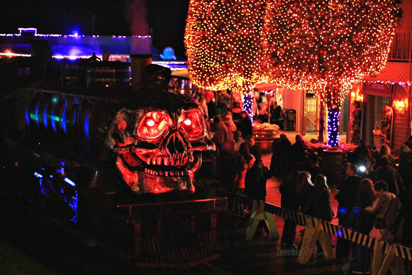 Zensible Mama: A Ghostly Ride Aboard The Ghost Train