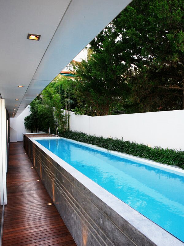 Read More How to order for a small Farm at home can be for swimming ...