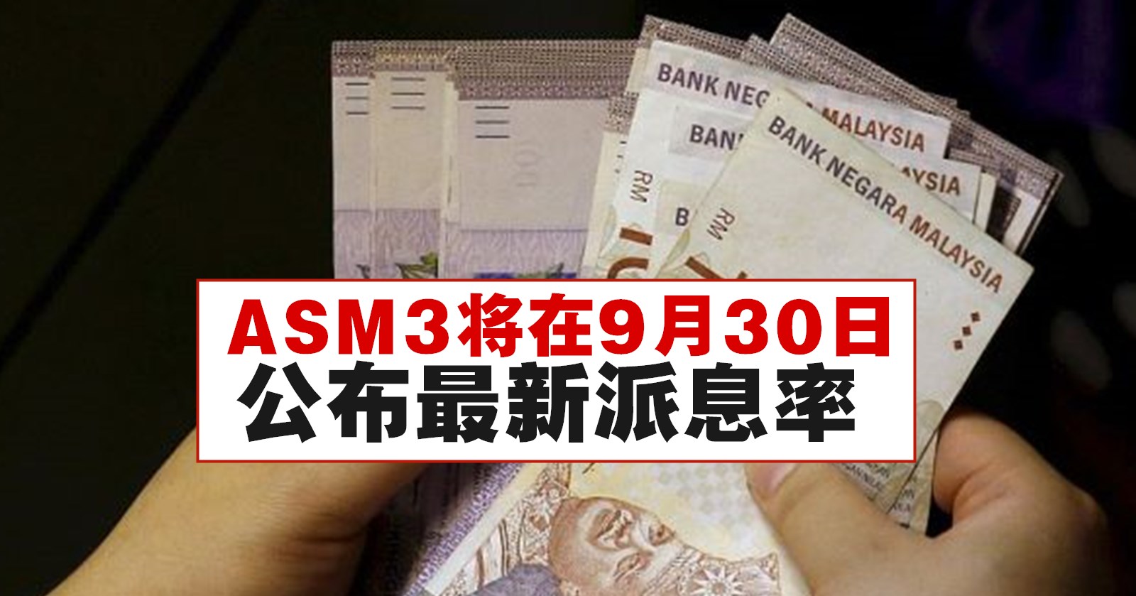 ASM 3将在9月30日公布最新派息率