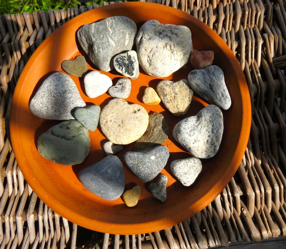 Sharon Lovejoy: Beach Walks and Lucky Rocks