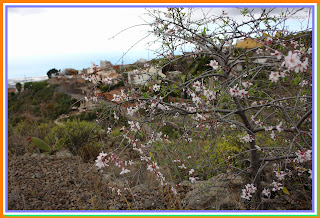 Tenerife senderos......: TENERIFE SENDEROS --GUIA ISORA-- EL JARAL -LAS ...