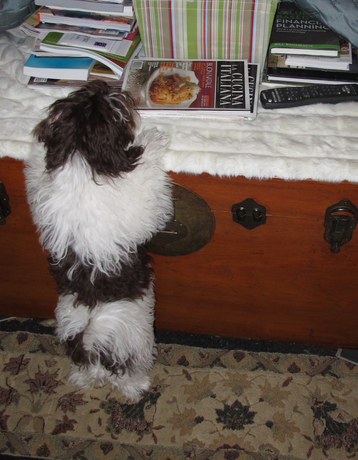 The Bumbler & The Beast – Norwegian Wolffish - Tout va bien! (tm)