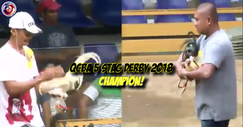 Watch! Cesar Tolentino 'Vs' Mayor Dondon Alcala (QCBA 5-Stag Derby 2018 ...