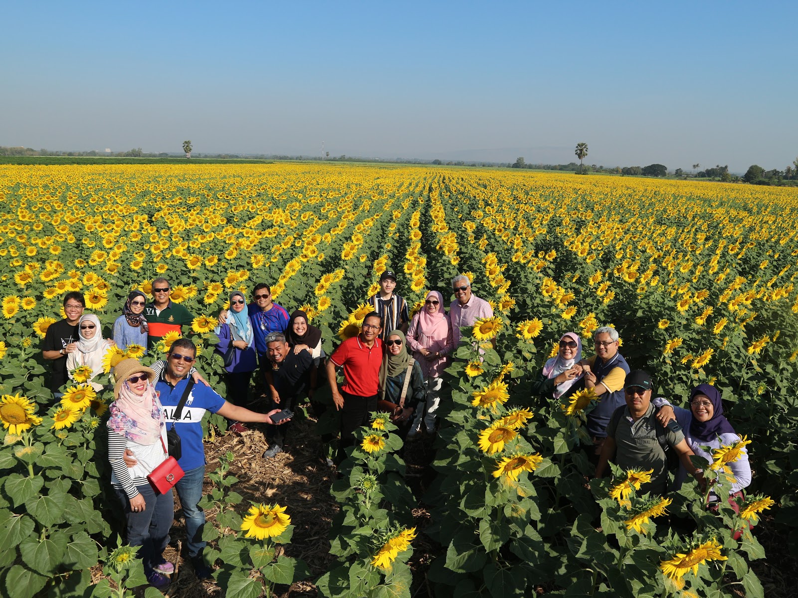 Hari 3: Kenangan Terindah Di Ladang Bunga Matahari di Lopburi - Azie ...
