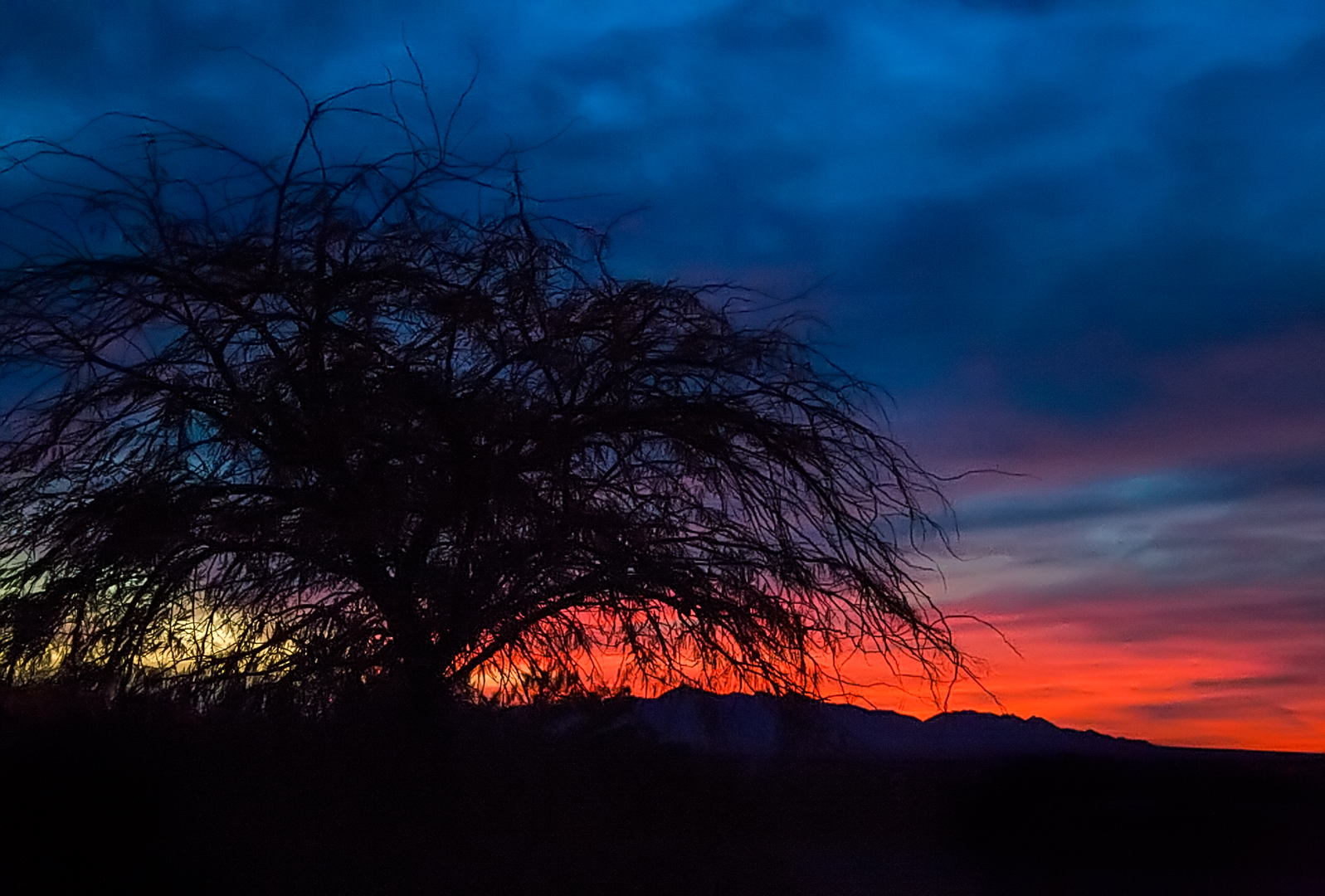 Fallbrook Shutters: Red, White and Blue Sunset
