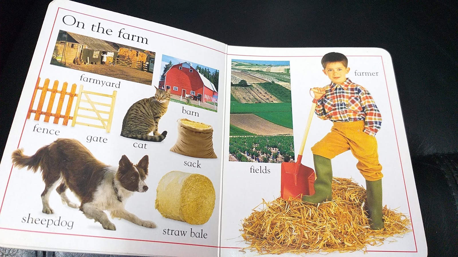 Kid Books Blog: 243.My First Farm / Sizes
