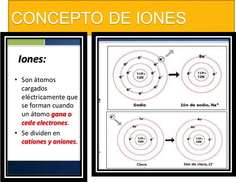 "FISIOLOGIA DEL SISTEMA NERVIOSO Y SISTEMA NERVIOSO PERIFÉRICO ...