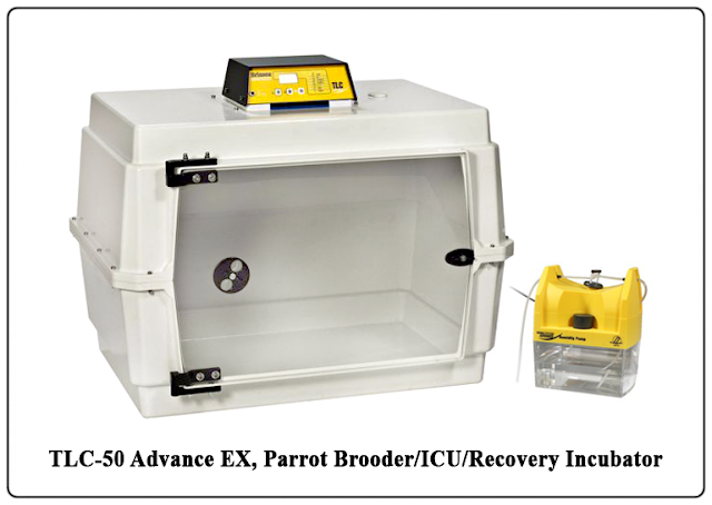 Othouq Incubator: TLC-50 Advance EX, Parrot Brooder/Intensive Care Unit ...