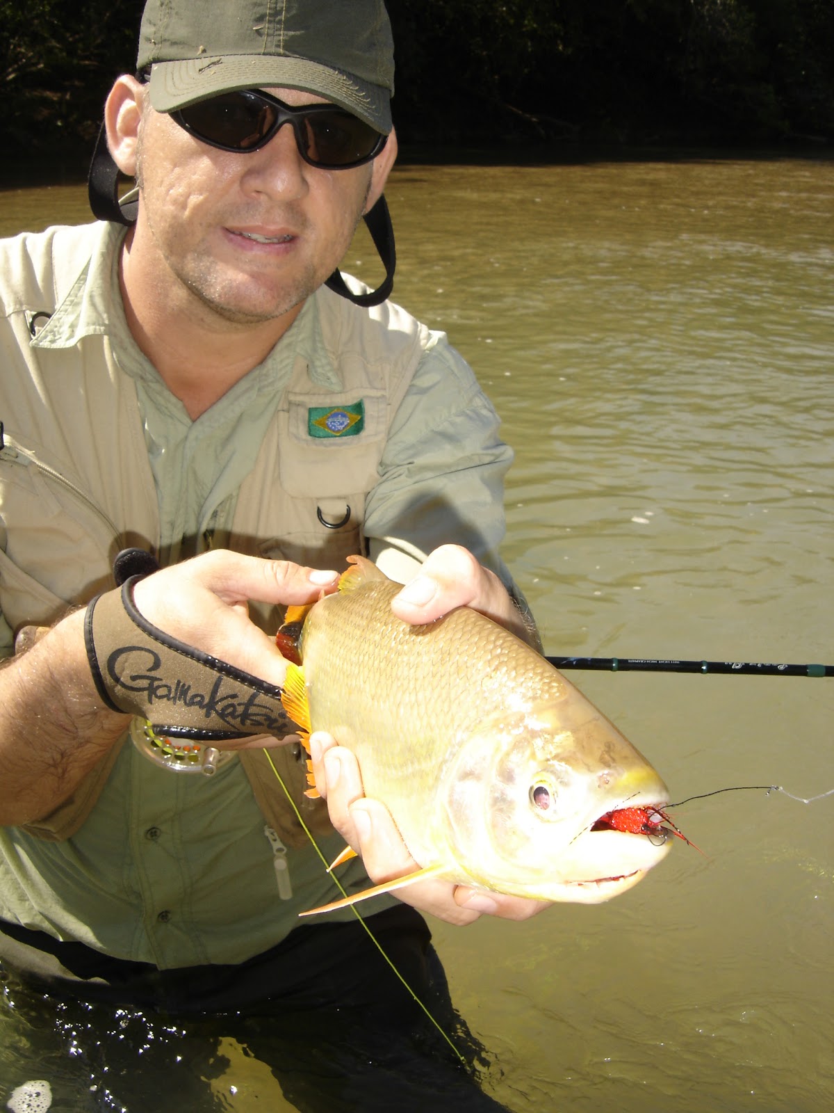 Brazilian Flies, atando e pescando de FLY pelo Brasil!!!!!!!: Rio ...
