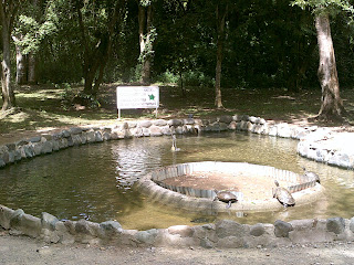 The Learning Spot: PARQUE CEREMONIAL INDIGENA EL TIBES