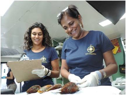 A Thousand Metres under the Sea