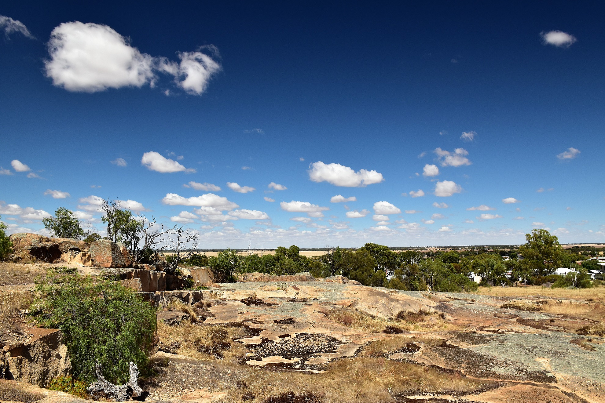 Goin' Feral One Day At A Time: Mount Wycheproof Walk - December 2020