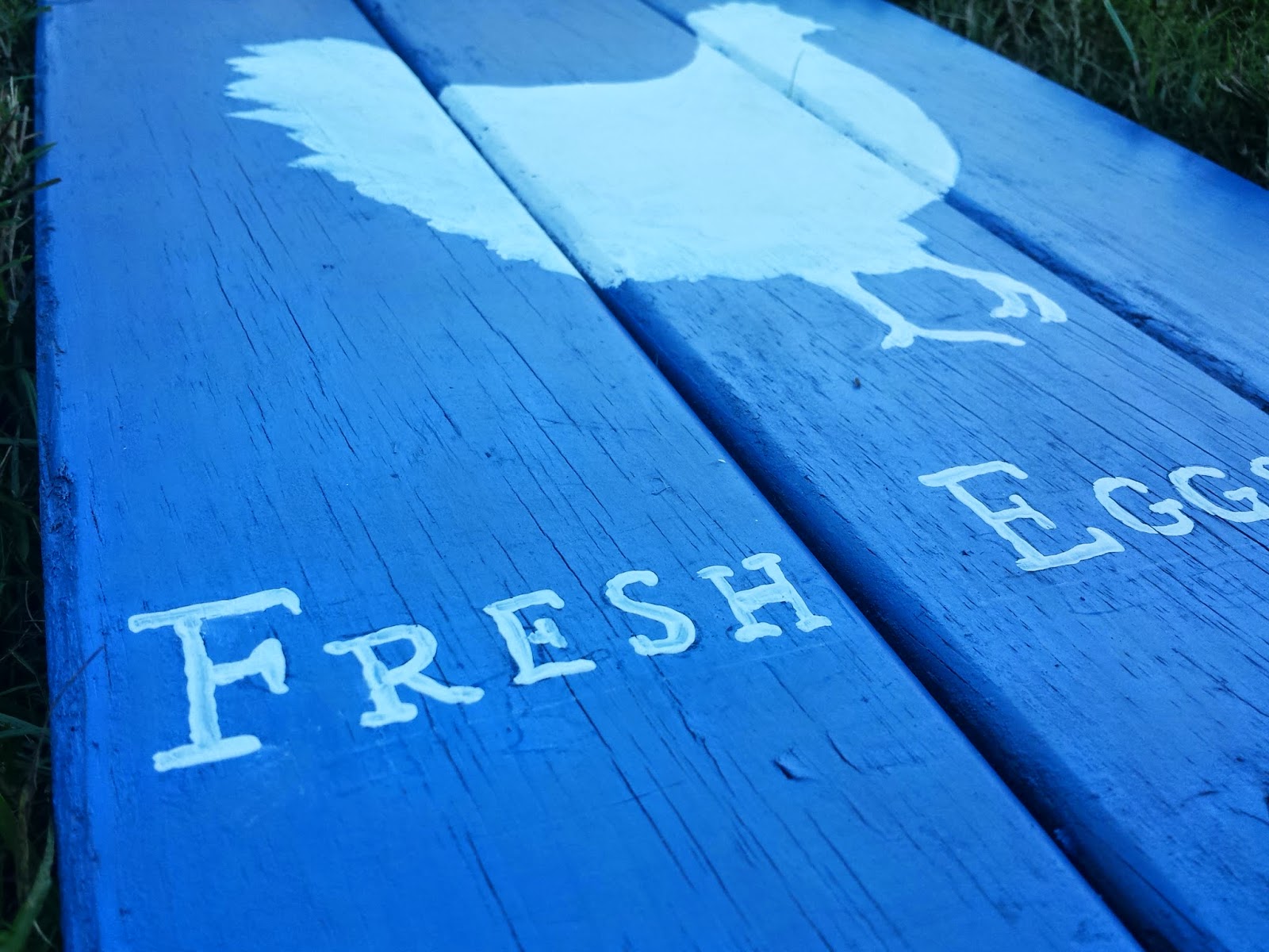 DIY Painted Chicken Coop Sign - Fresh Eggs Daily® with Lisa Steele