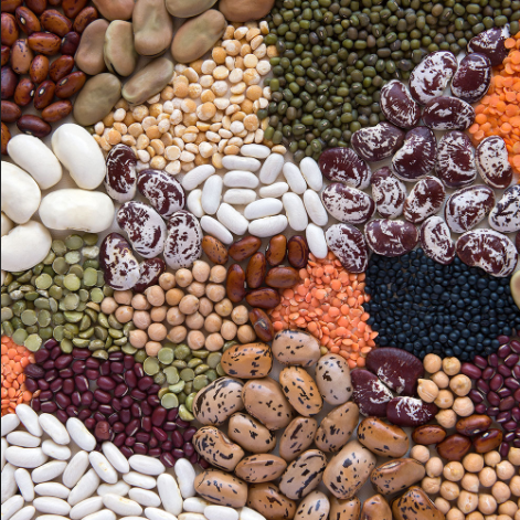 Cheryl's Frugal Corner: Beans - A Wonderful Protein