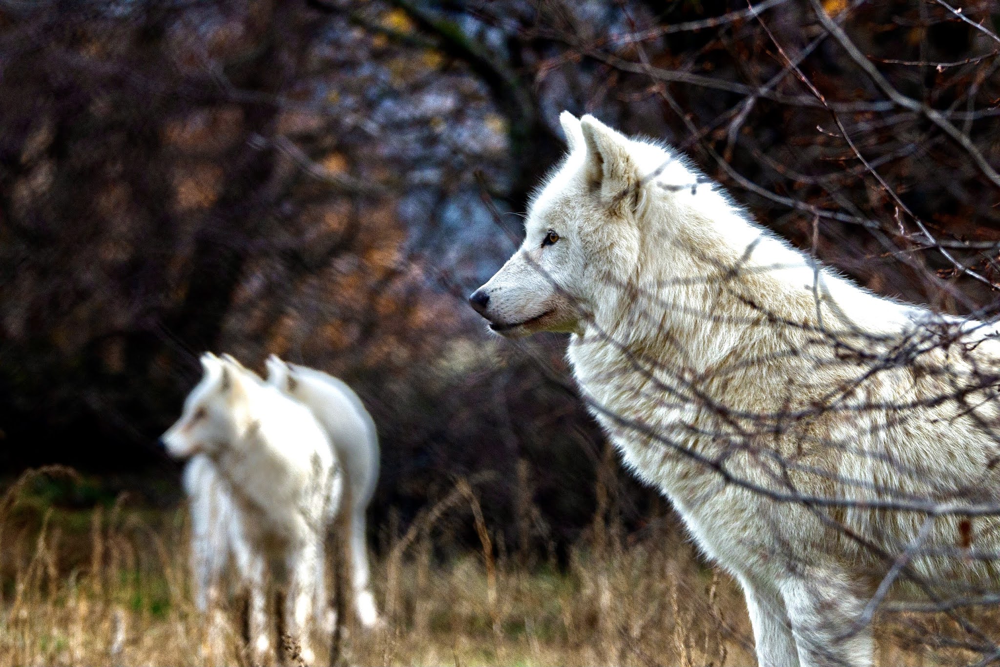 Tourism in Greece: From Heavy Industry to Prosperous Hospitality and ...