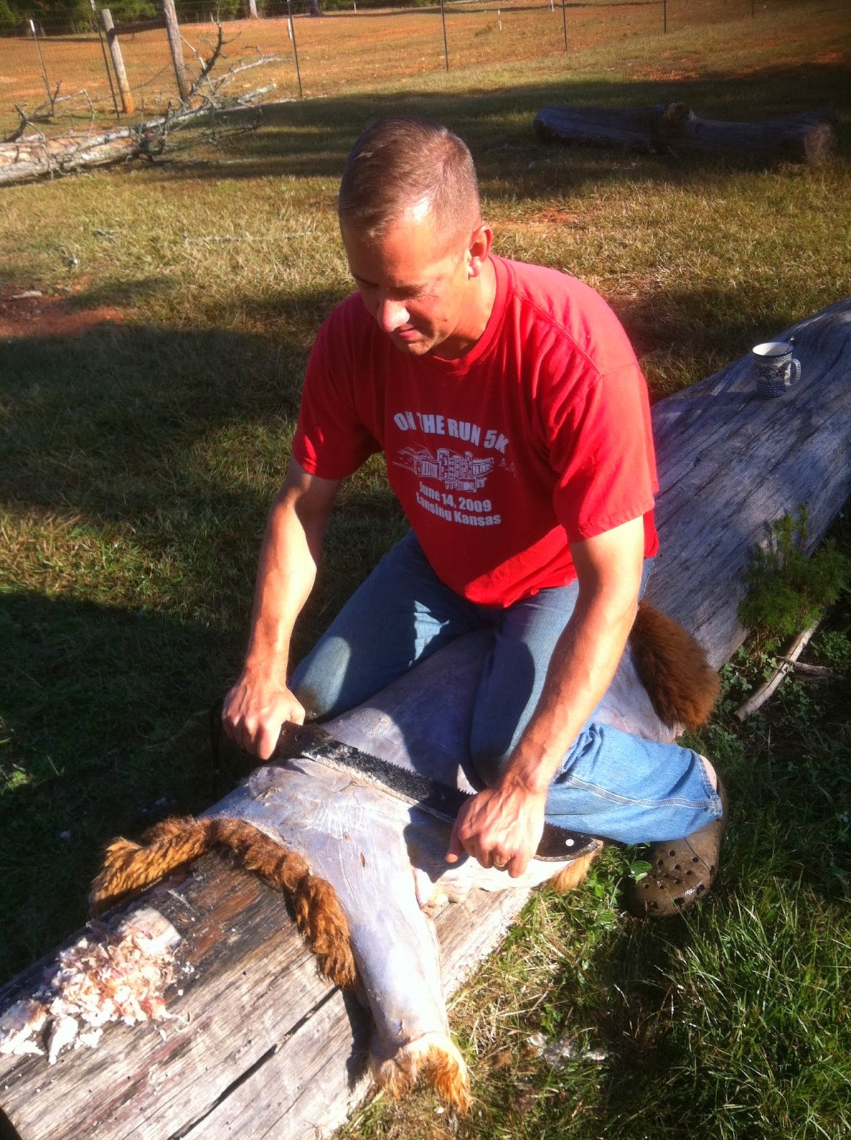 Red Clay Farm: Preserving an Alpaca Hide