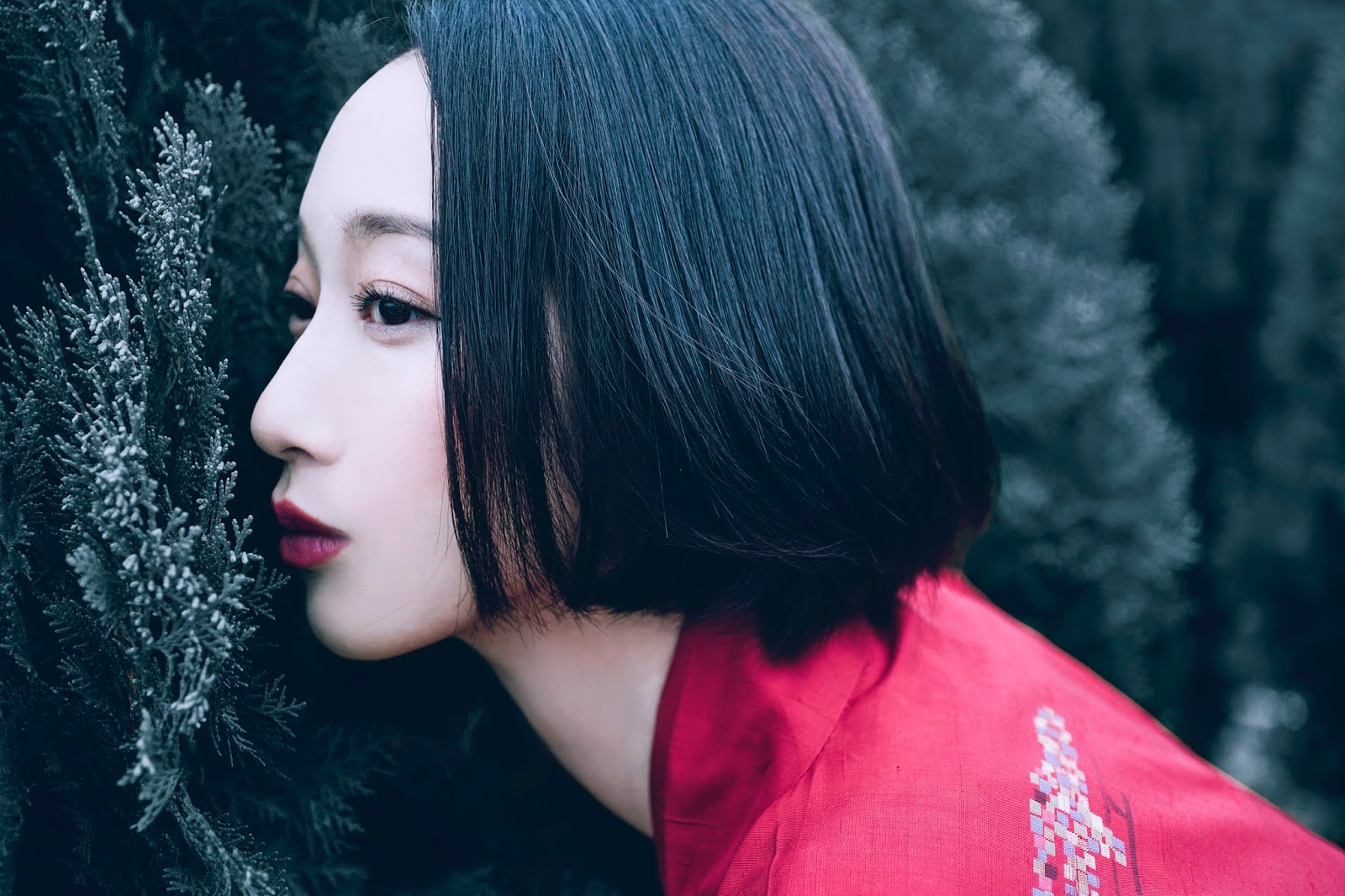 林涵 LIN Han: 2017