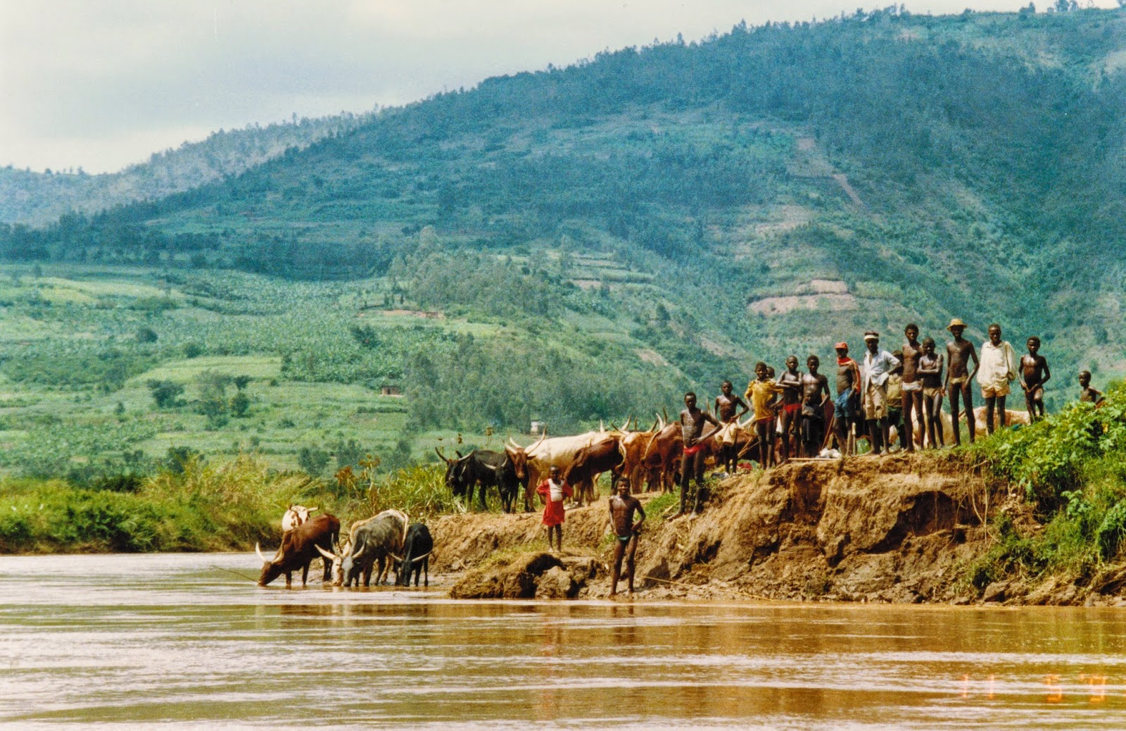 Land Roamer - Around The World: Overnight Zodiac trip on the river ...