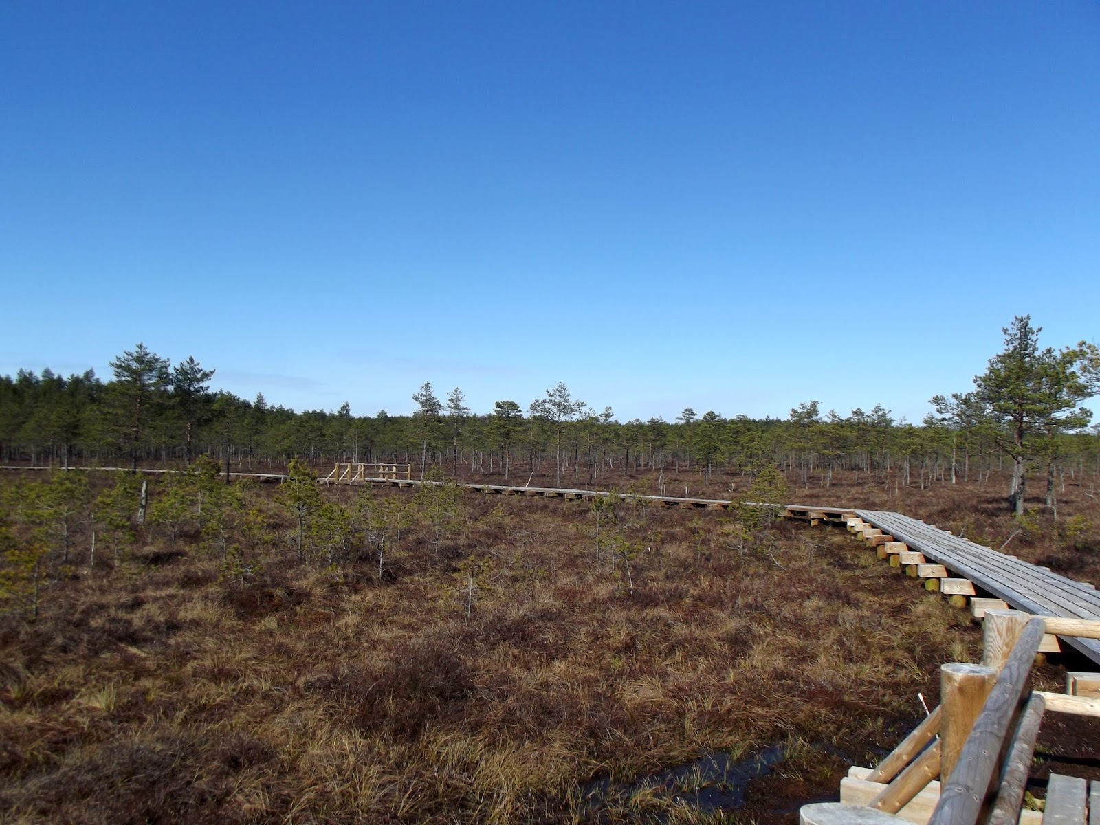 Latvijas muižas un pilis un citas interesantas vietas: Lielo Kangaru ...