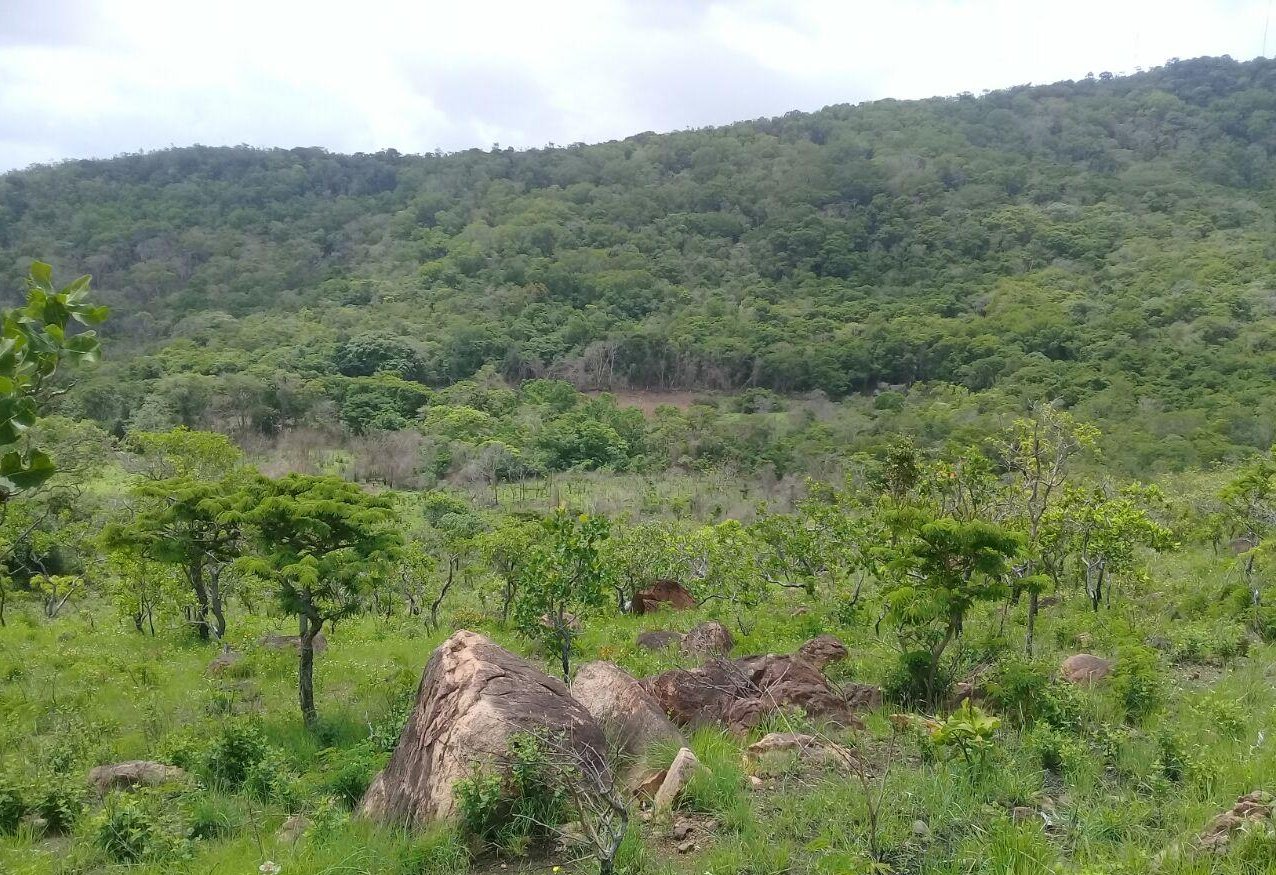 Guayana: Eje Sur Upata Santa Elena de Uairén