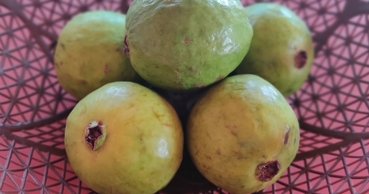 Amazing health benefits of GUAVA(AMRUD) fruit and leaves