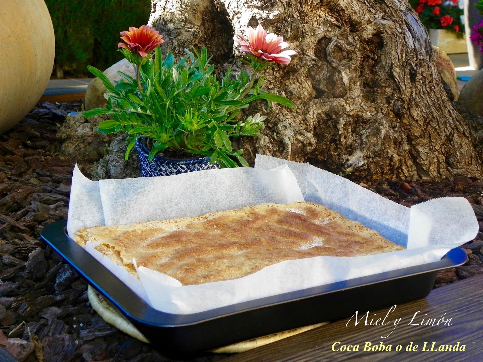 Miel y Limón Recetas: COCA BOBA O DE LLANDA