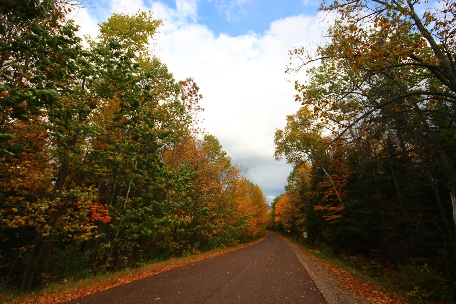 Ian's Blog: Point Alexander, Ontario, October 2019