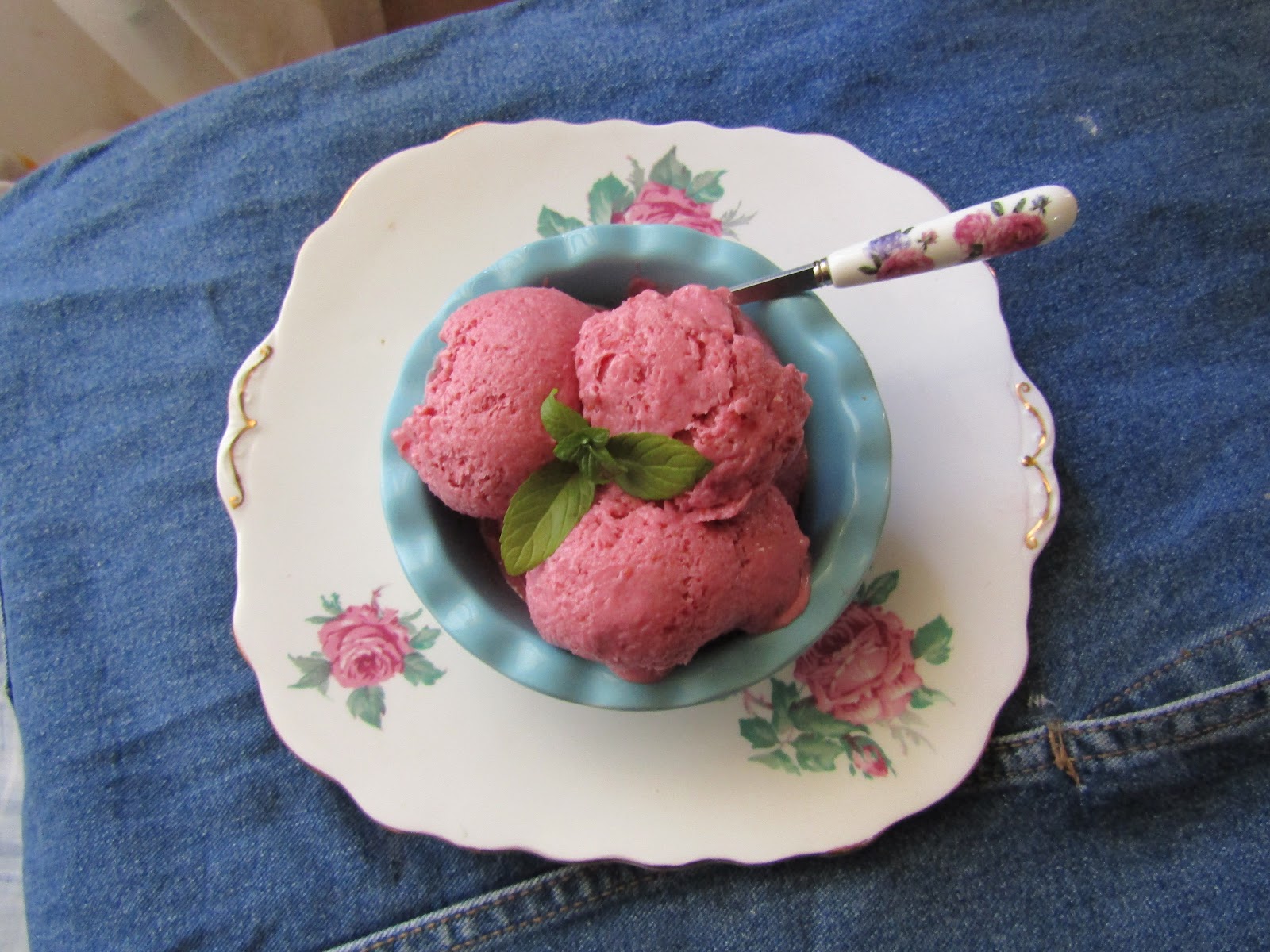 Canela kitchen (gloria): raspberry and greek yogurt ice cream (no churn ...