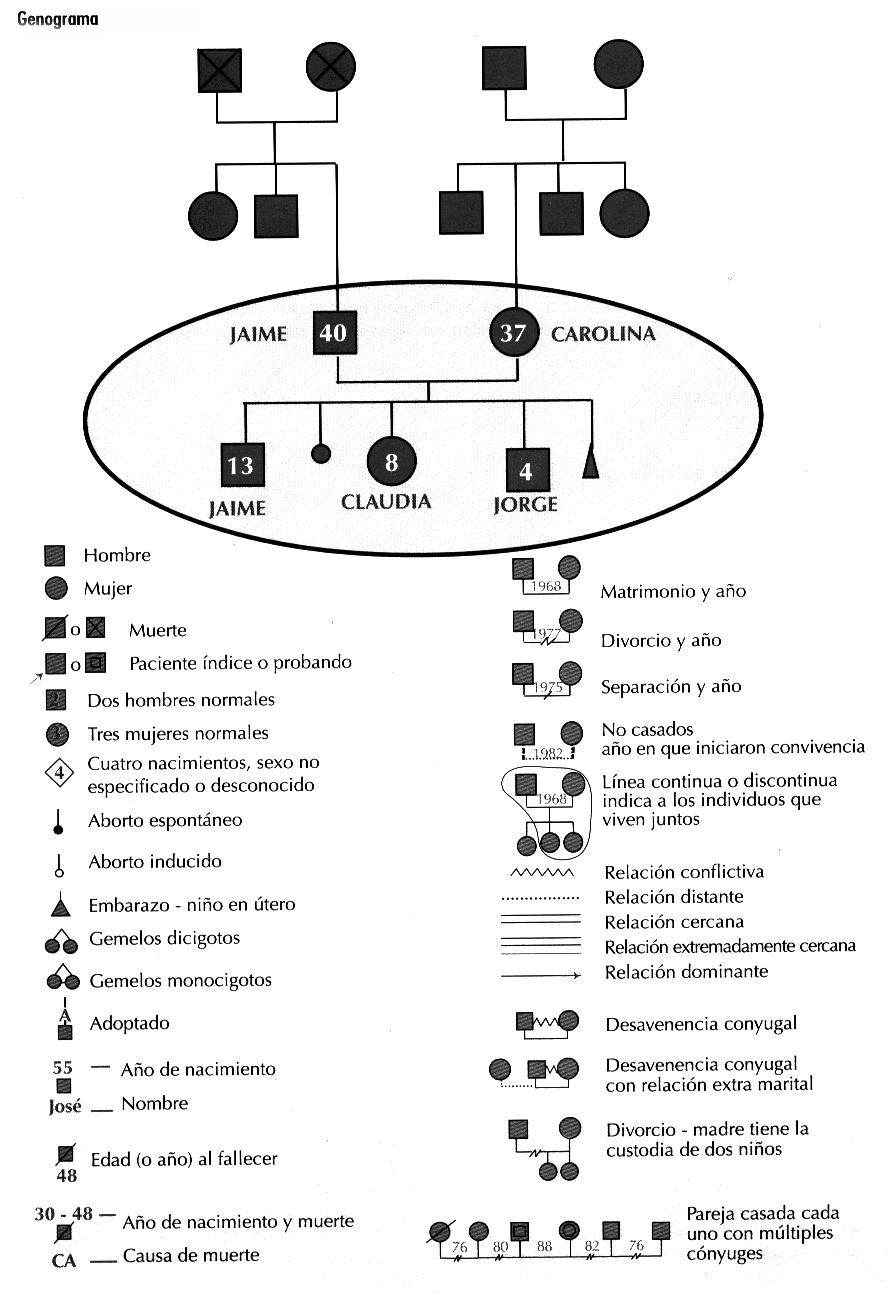 PSICOLOGÍA DINÁMICA: 50. FAMILIOGRAMA O GENOGRAMA