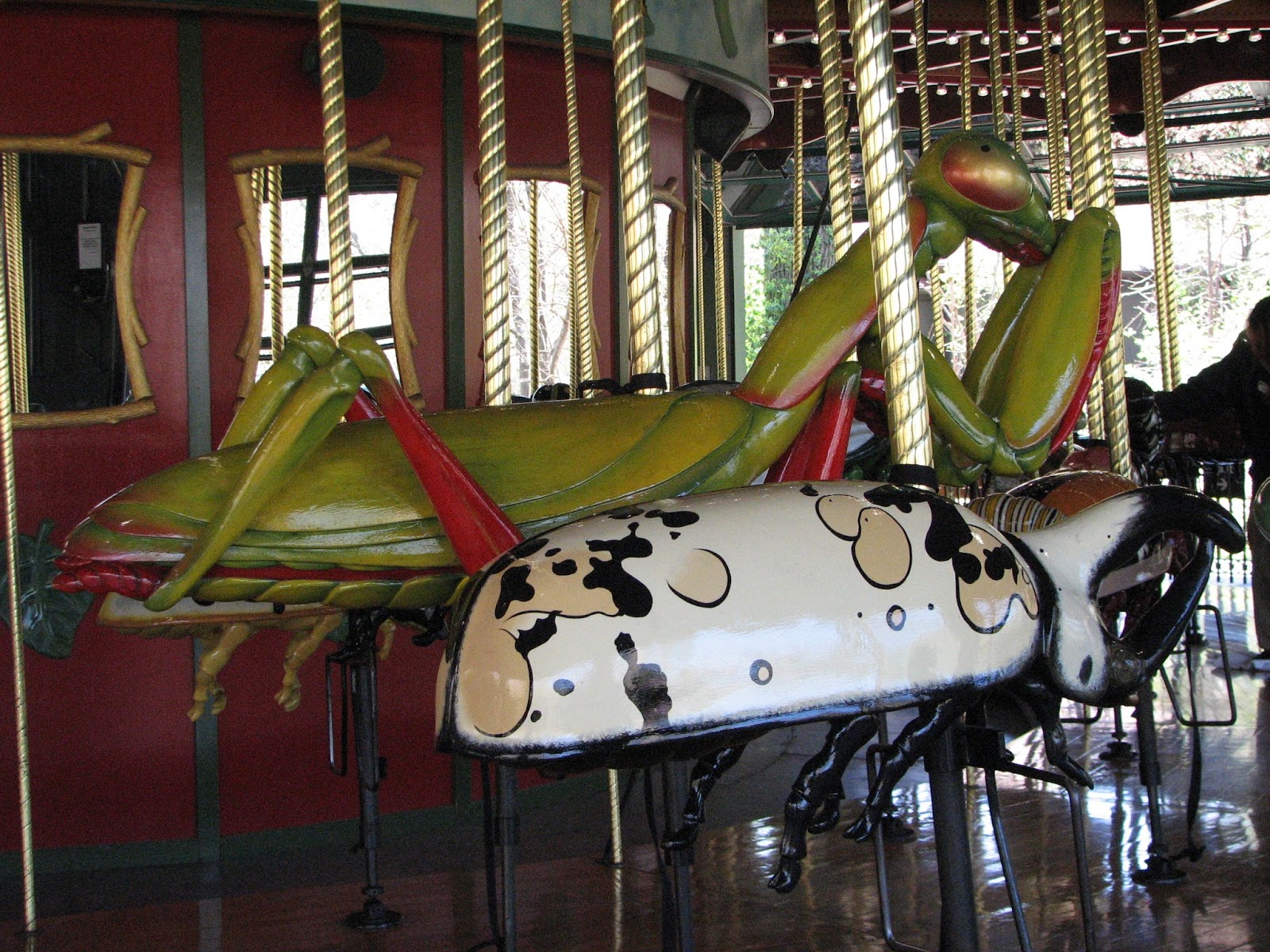 Bonao Internacional: " BUG CAROUSEL " : EL CARRUSEL DE LOS INSECTOS