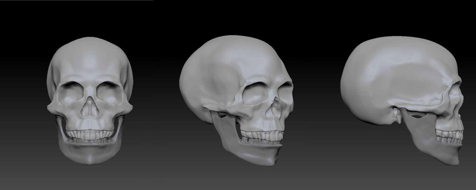 Jon's 3d Head Sculpts : 3D Skull progress and reference