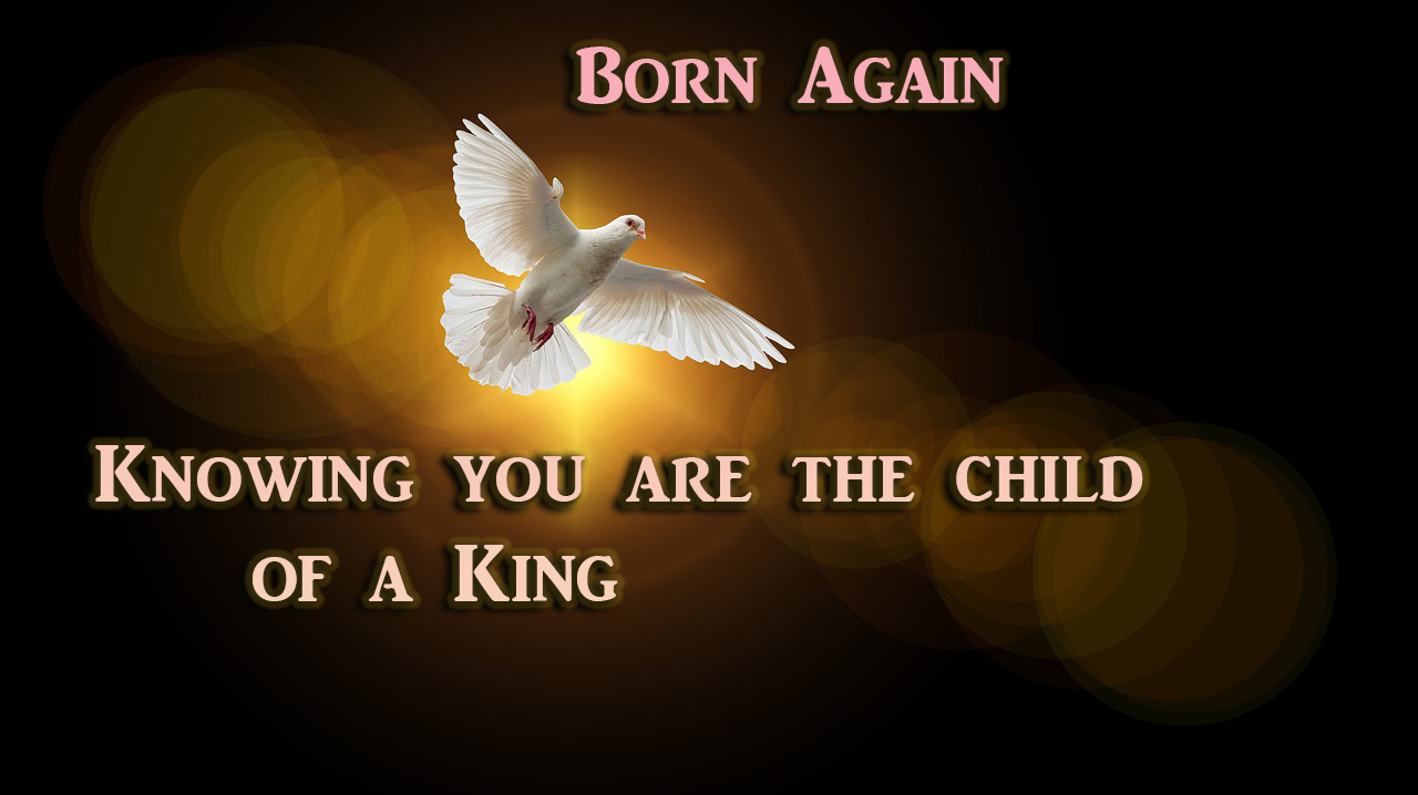 Born Again - Knowing You Are The Child Of A King