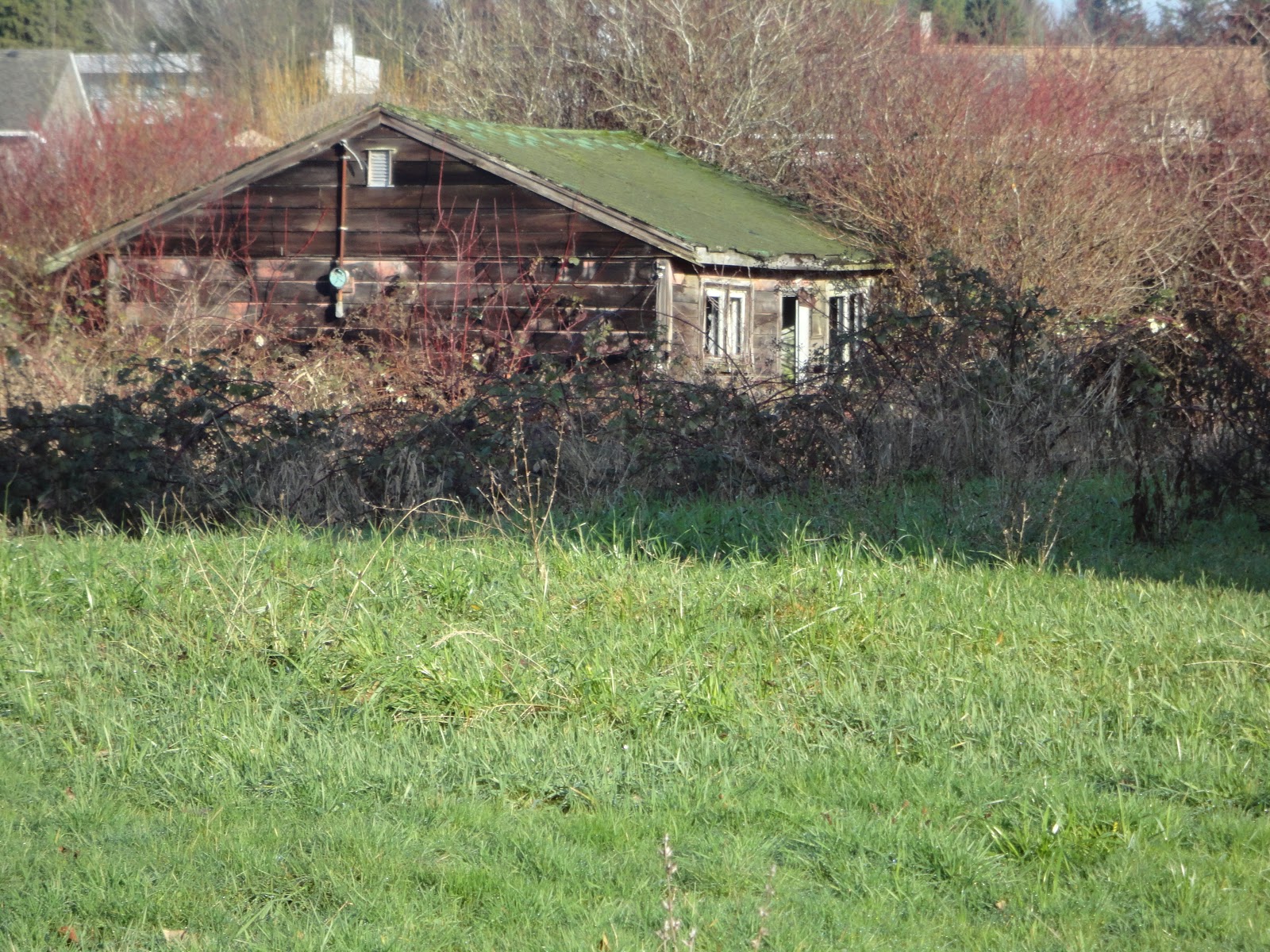 The Orchard Garden: SFU SEEDS PDP Module visit to Musqueam and the UBC ...