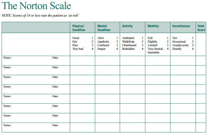 THE AGEING: PRESSURE ULCERS