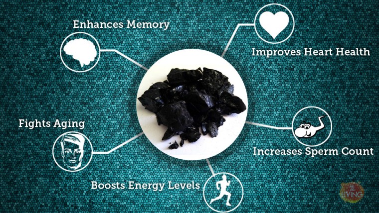 Top 10 Benefits of Shilajit: Ayurveda’s Only Panacea