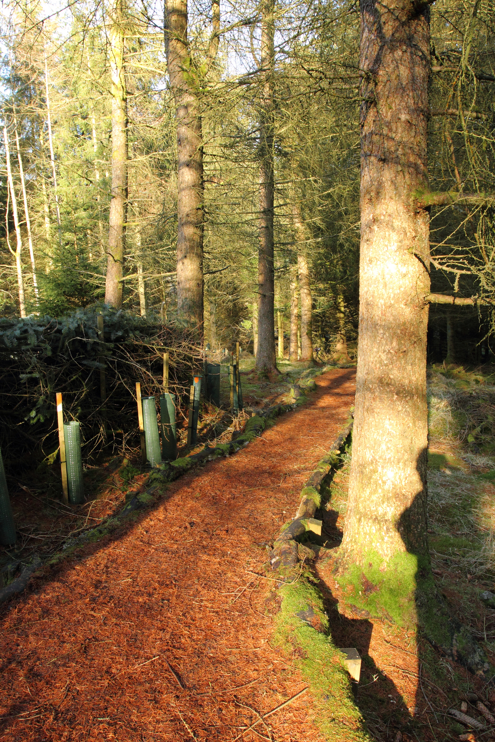 Yorkshire Dales National Park