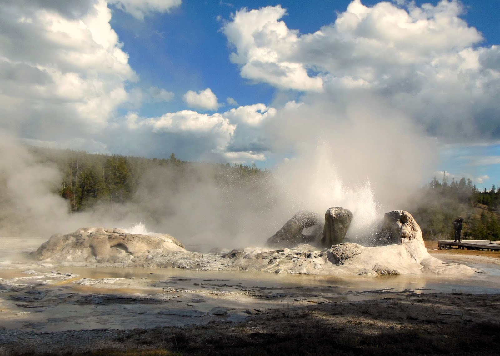 Focusing On Travel : Yellowstone: A Geyser Gazers Guide to the Upper ...