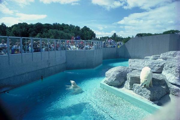 Visit Toronto Zoo | Review Hours, Ticket, Map. | Vacation Spots In The ...