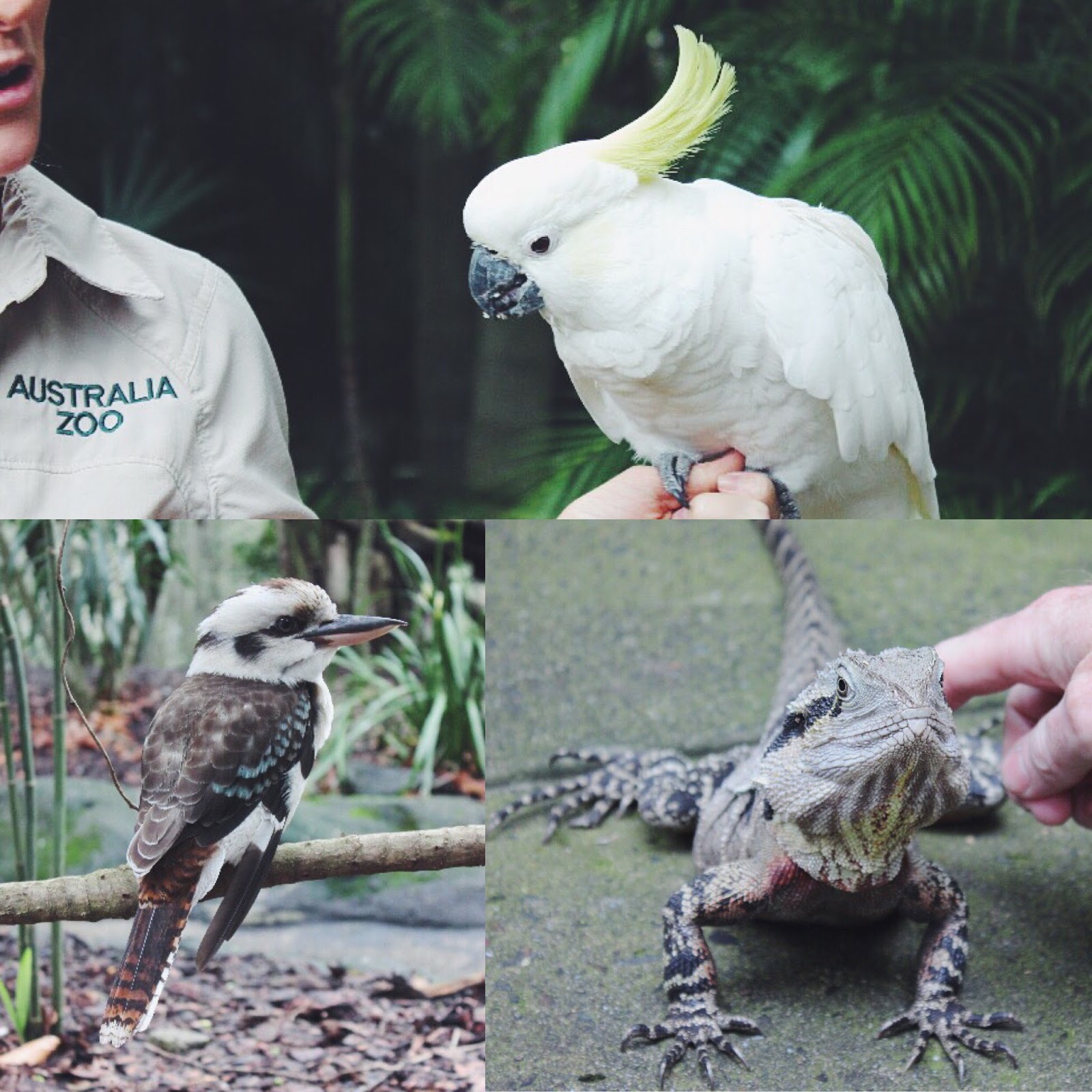 Australia.. Part one!! | Paige Ellen Gillard