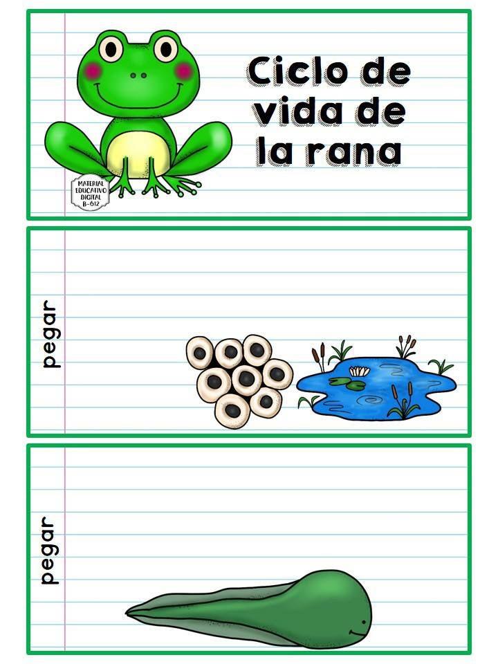 Materiales para Ciclos de Vida | Materiales Educativos para Maestras