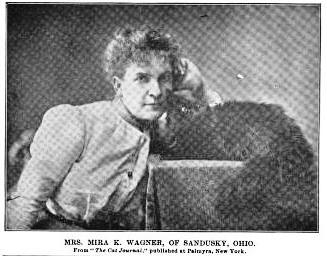 Graveyard Rabbit of Sandusky Bay