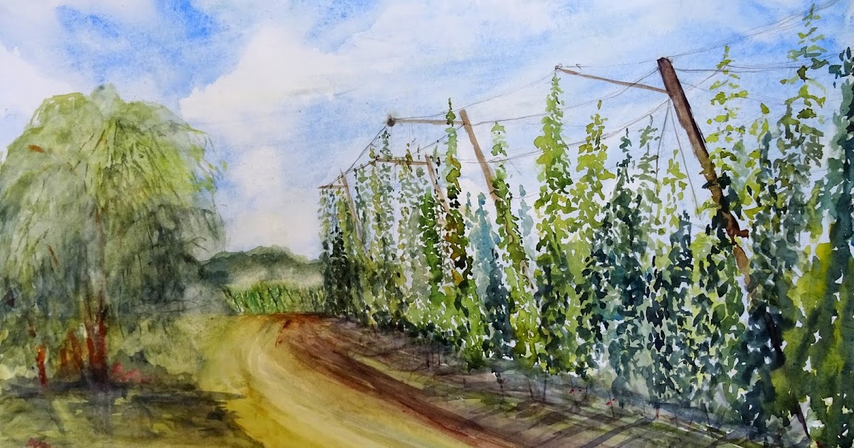 Hopfenfeld bei Geisenfeld - Doris Bauer